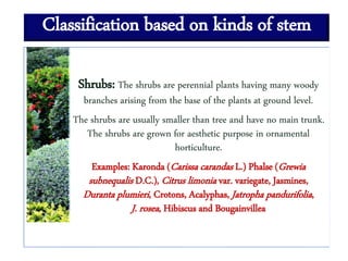 Division and Classification of Horticultural Crops .pdf