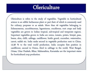 Division and Classification of Horticultural Crops .pdf