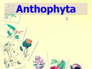 Division anthophyta | PPTX