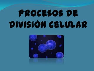 Division celular | PPTX