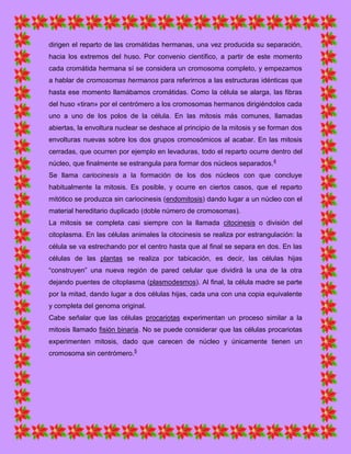 Division celular | DOCX