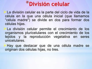 Division celular | PPTX