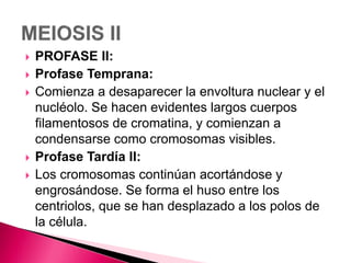 Division celular mitosis y meiosis | PPTX | Reproductive Health ...