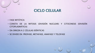 DIVISION CELULAR (MITOSIS Y MEIOSIS.pptx