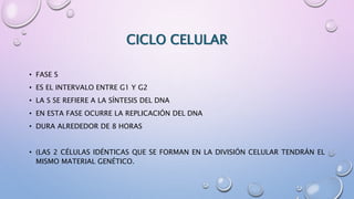 DIVISION CELULAR (MITOSIS Y MEIOSIS.pptx