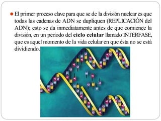 DIVISION CELULAR CELULAR EN BIOLOGIA.pptx