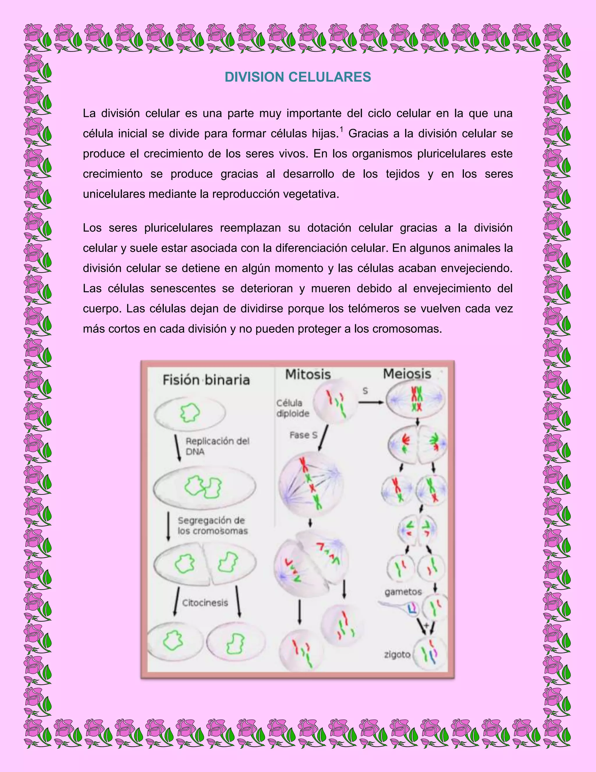 Division celulares | PDF