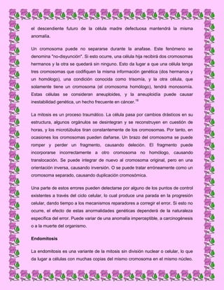 Division celulares | DOCX