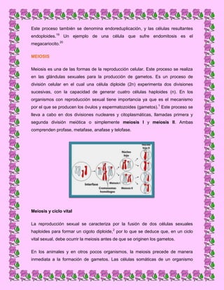 Division celulares | DOCX