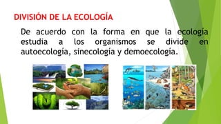 Division de ecologia | PPTX