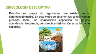 Division de ecologia | PPTX