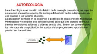 Division de ecologia | PPTX