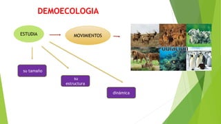 Division de ecologia | PPTX