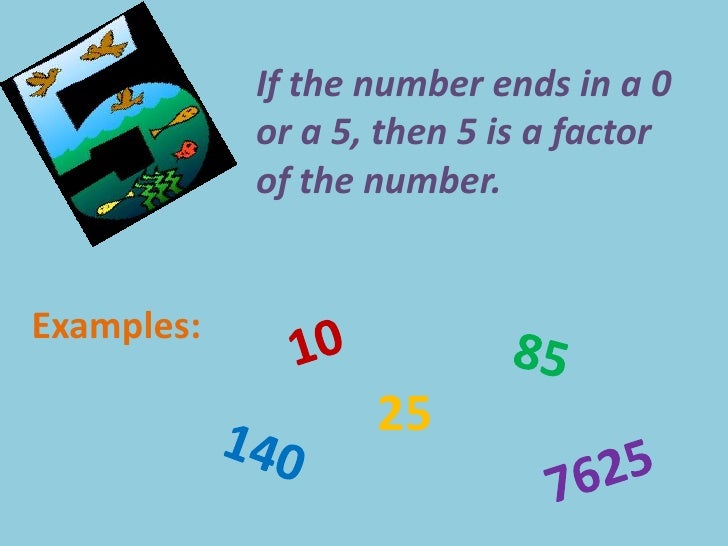 Division, divisibility rules 11 3-10