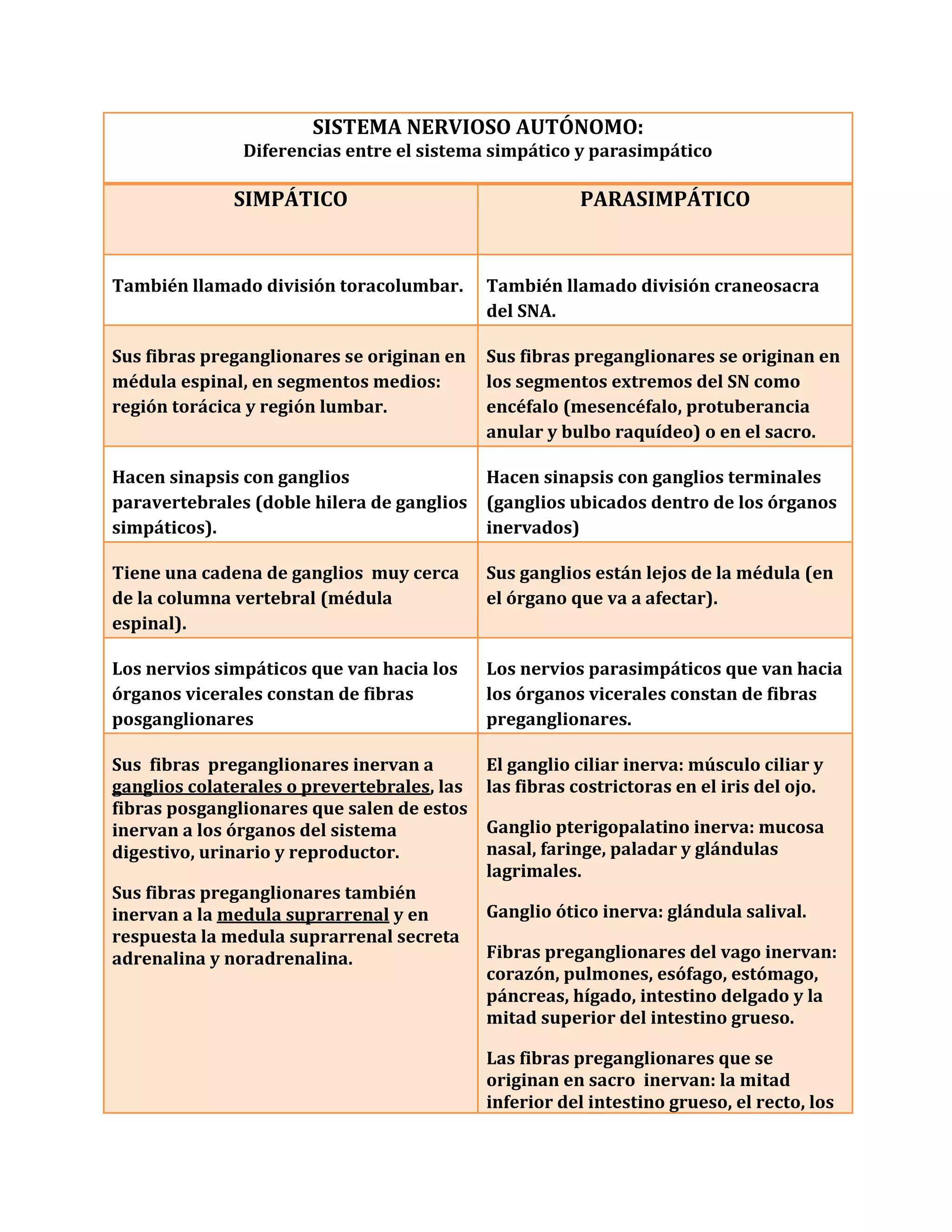Sistema nervioso autónomo: Diferencias entre el sistema nervioso ...