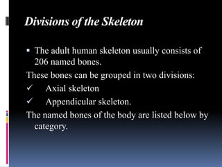 Division of human skeleton system | PPTX