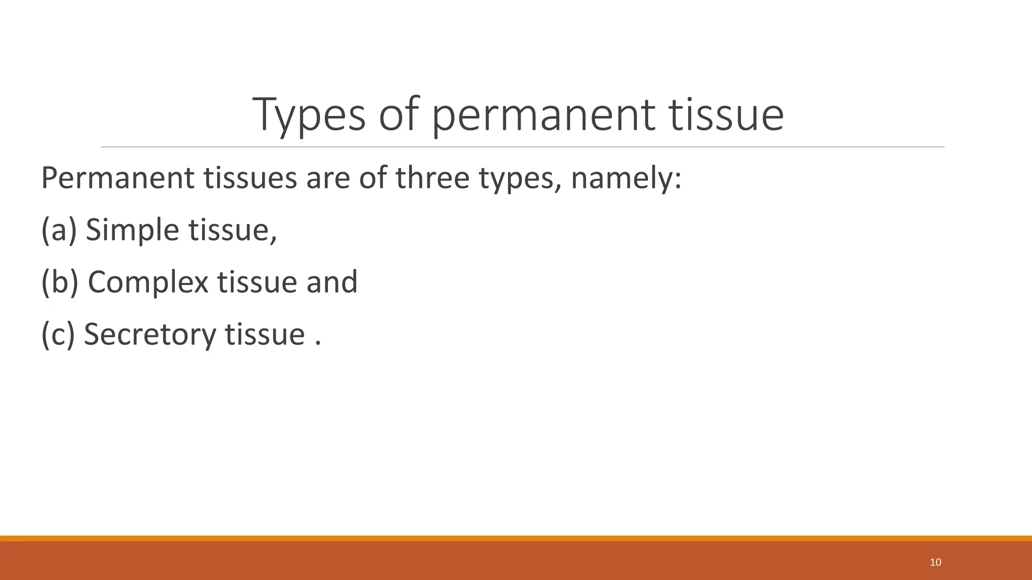 Division of labor in multicellular plants | PPTX