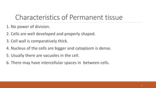 Division of labor in multicellular plants | PPTX