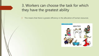 divisionoflabour-170216153446-2.pptx