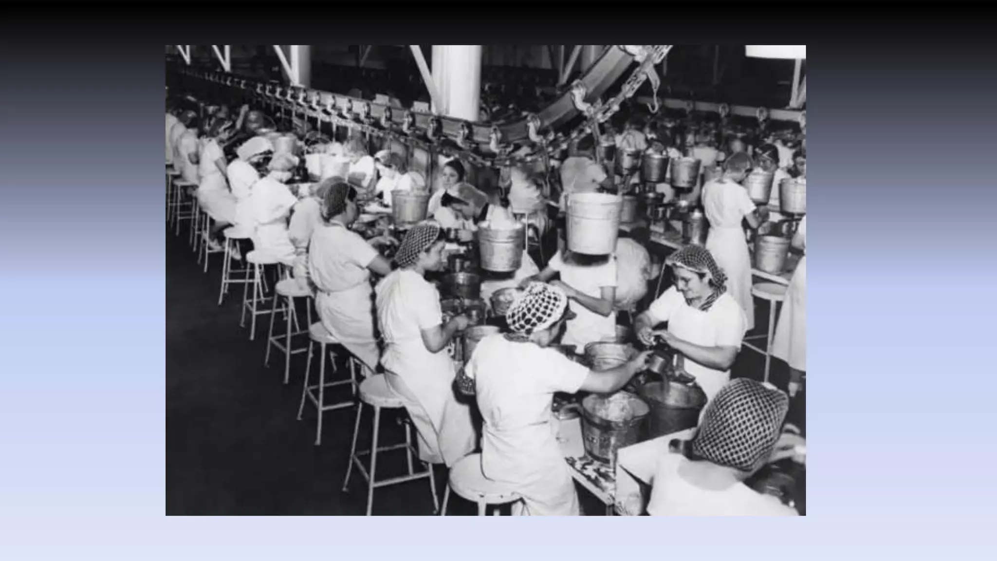 Division of Labour.pptx