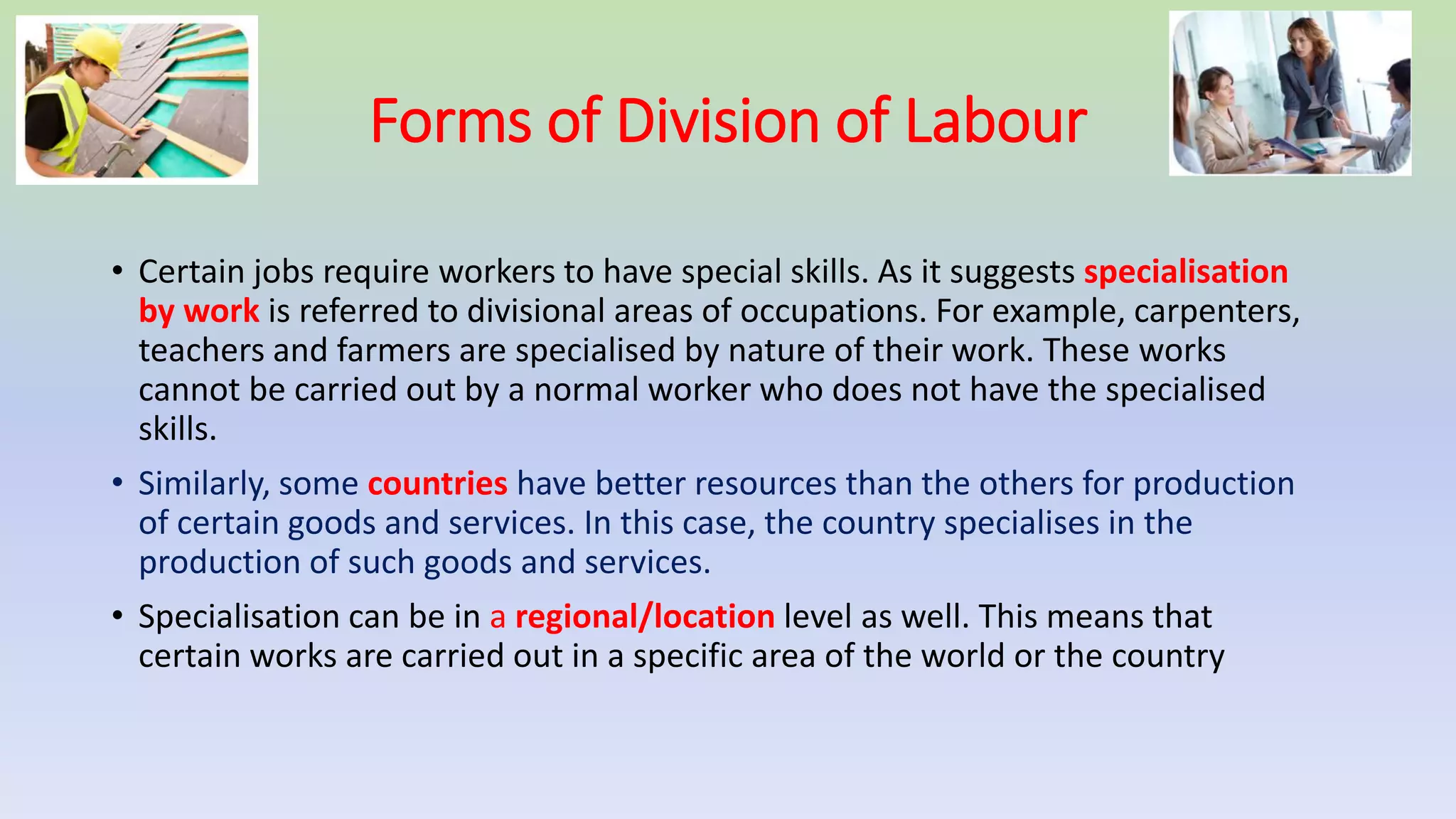 Division of Labour.pptx