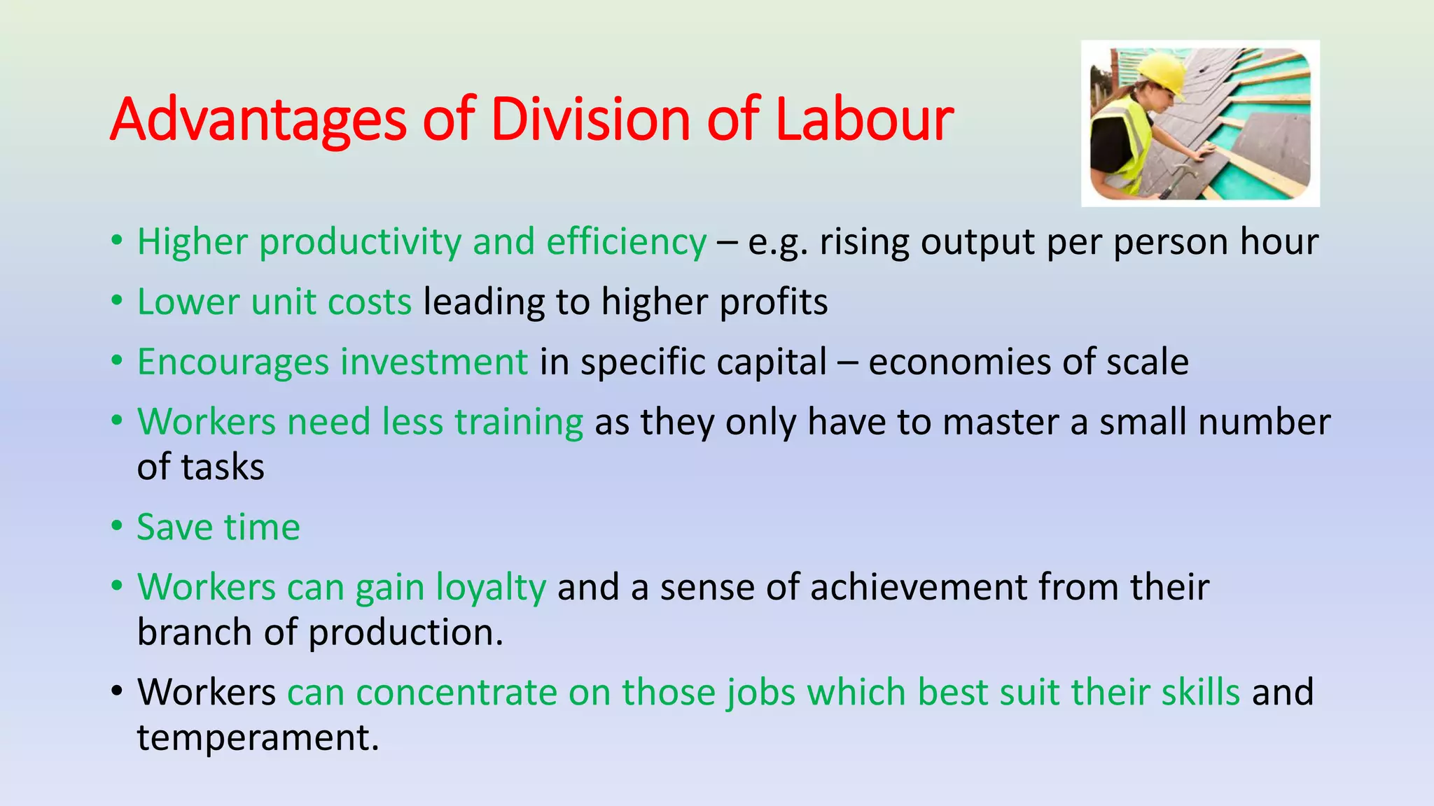 Division of Labour.pptx
