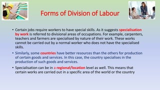 Division of Labour.pptx