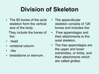 Division of skeletal system 2 | PDF