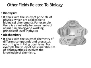 DIVISIONS AND B-WPS Office-1.pptx