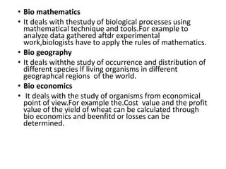 DIVISIONS AND B-WPS Office-1.pptx