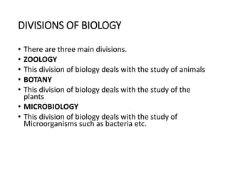 DIVISIONS AND B-WPS Office-1.pptx