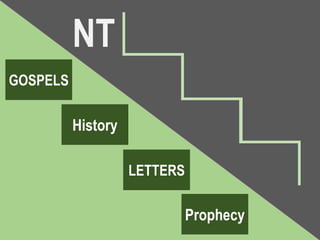 Organization of the Bible Pt 1 (All Nations Leadership Institute) | PDF