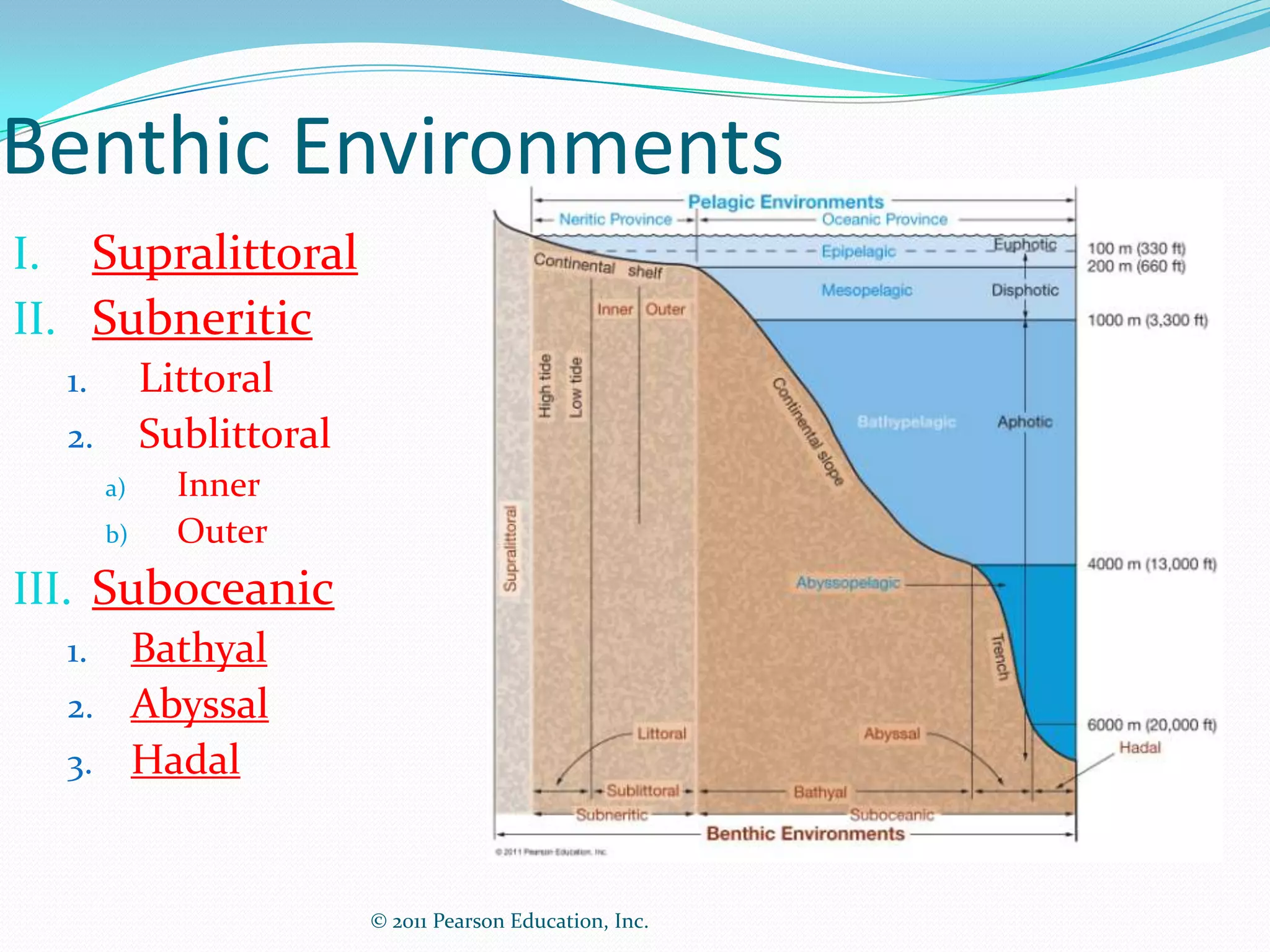Divisions of the Marine Environment | PPTX