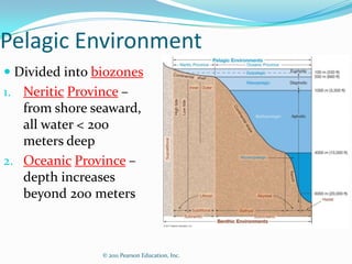 Divisions of the Marine Environment | PPTX