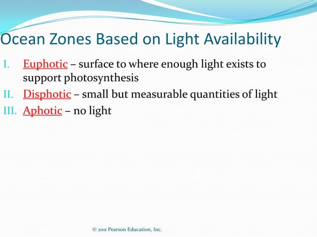 Divisions of the Marine Environment | PPTX | Geography | Science