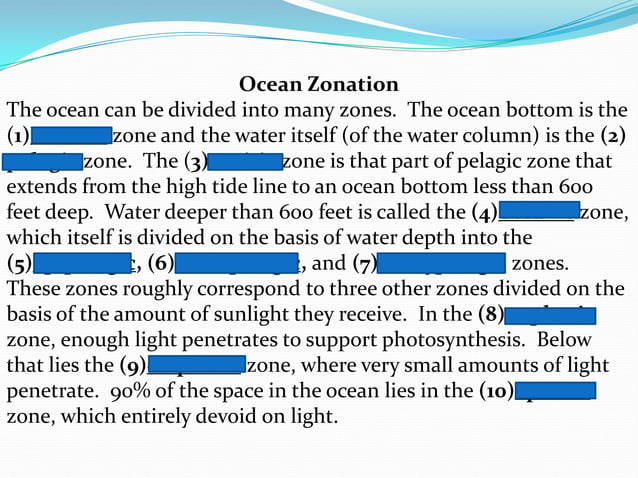 Divisions of the Marine Environment | PPTX | Geography | Science