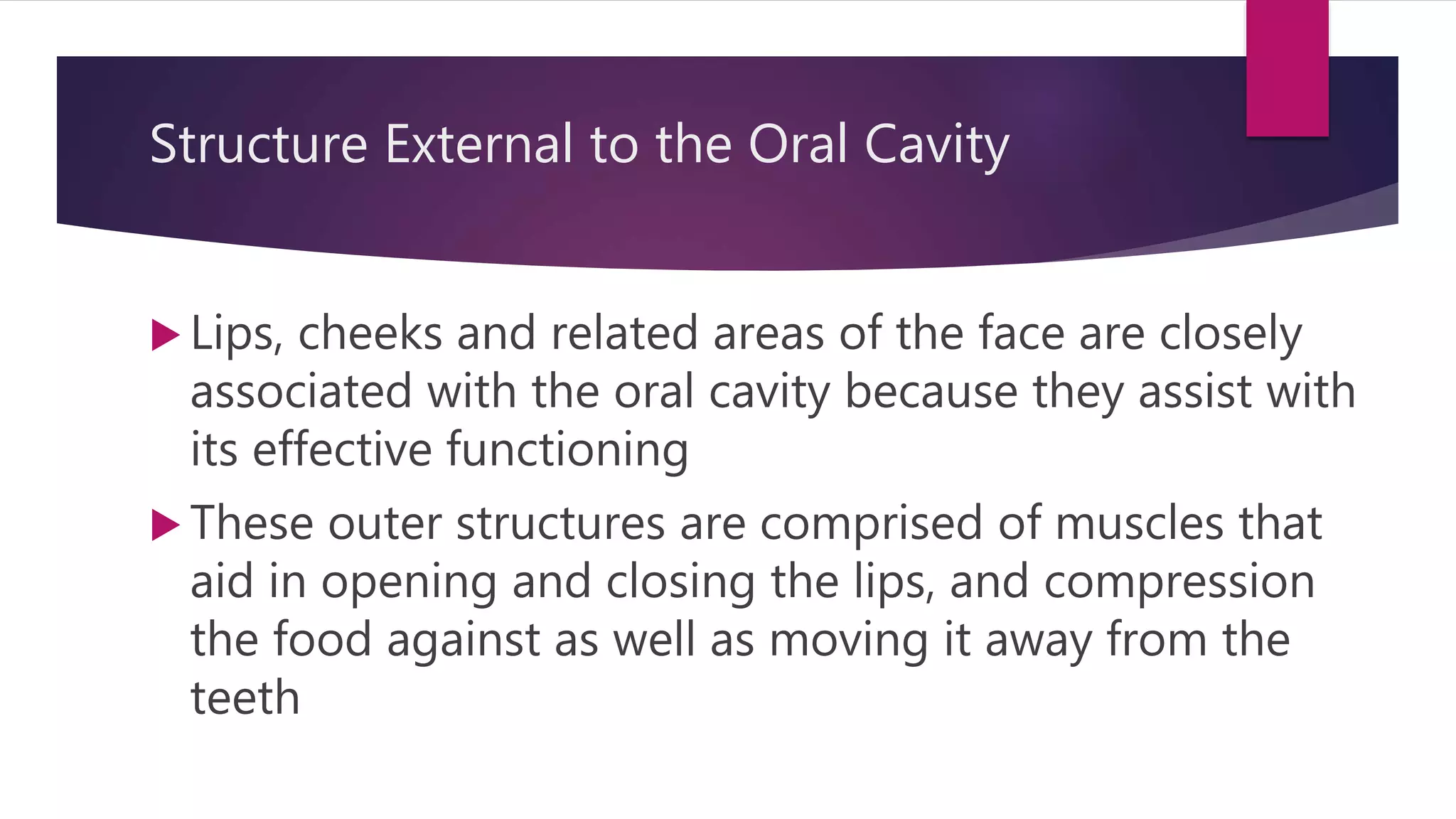 Divisions of the oral cavity | PPTX