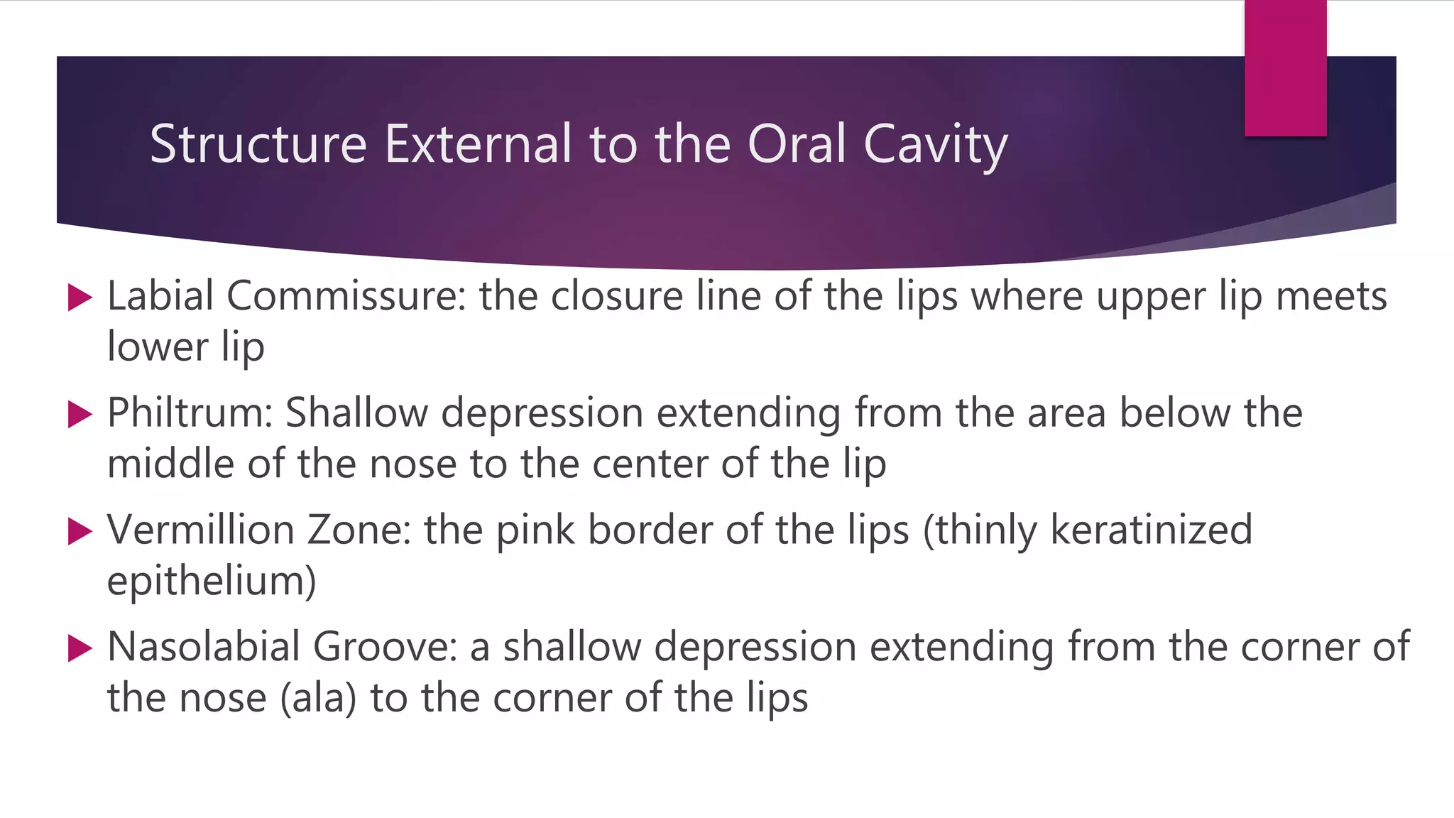 Divisions of the oral cavity | PPTX