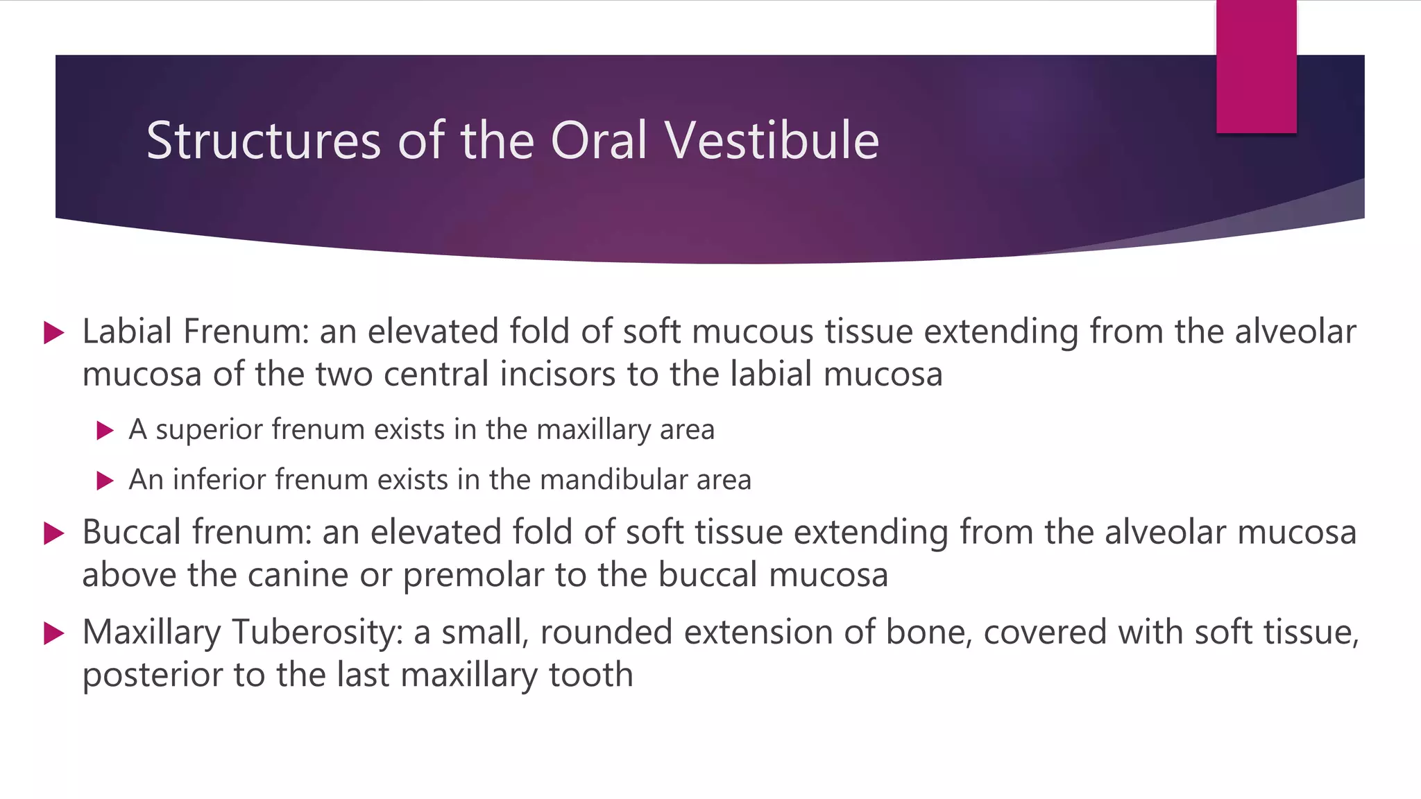Divisions of the oral cavity | PPTX