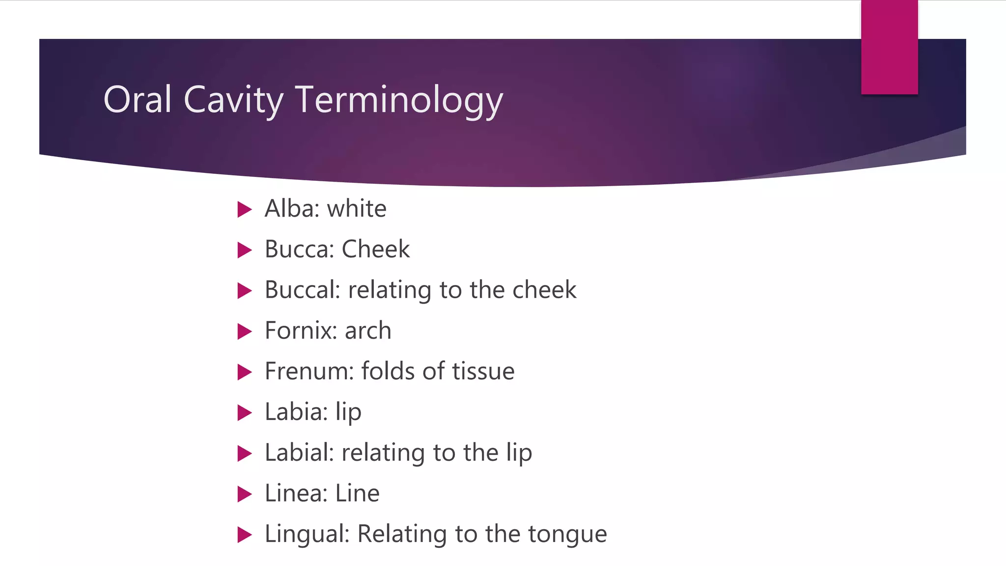 Divisions of the oral cavity | PPTX