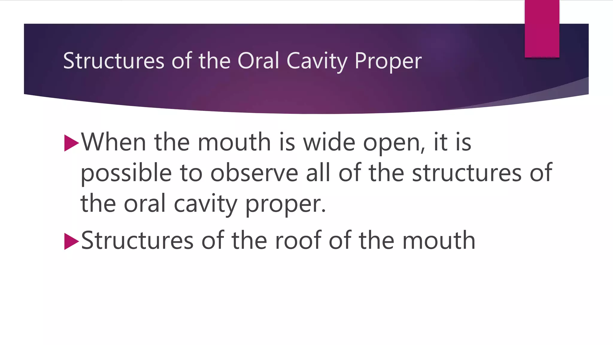 Divisions of the oral cavity | PPTX