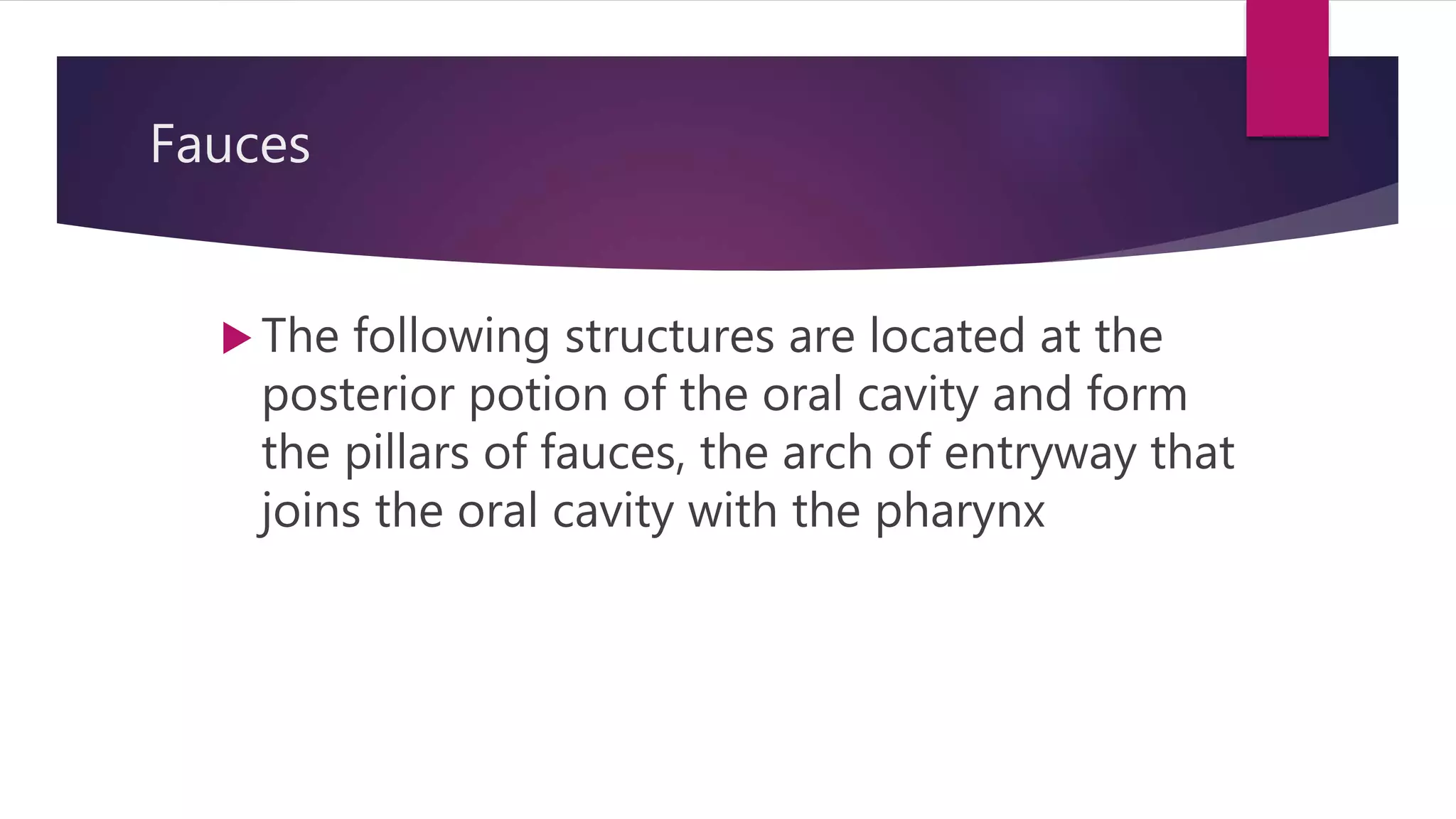 Divisions of the oral cavity | PPTX