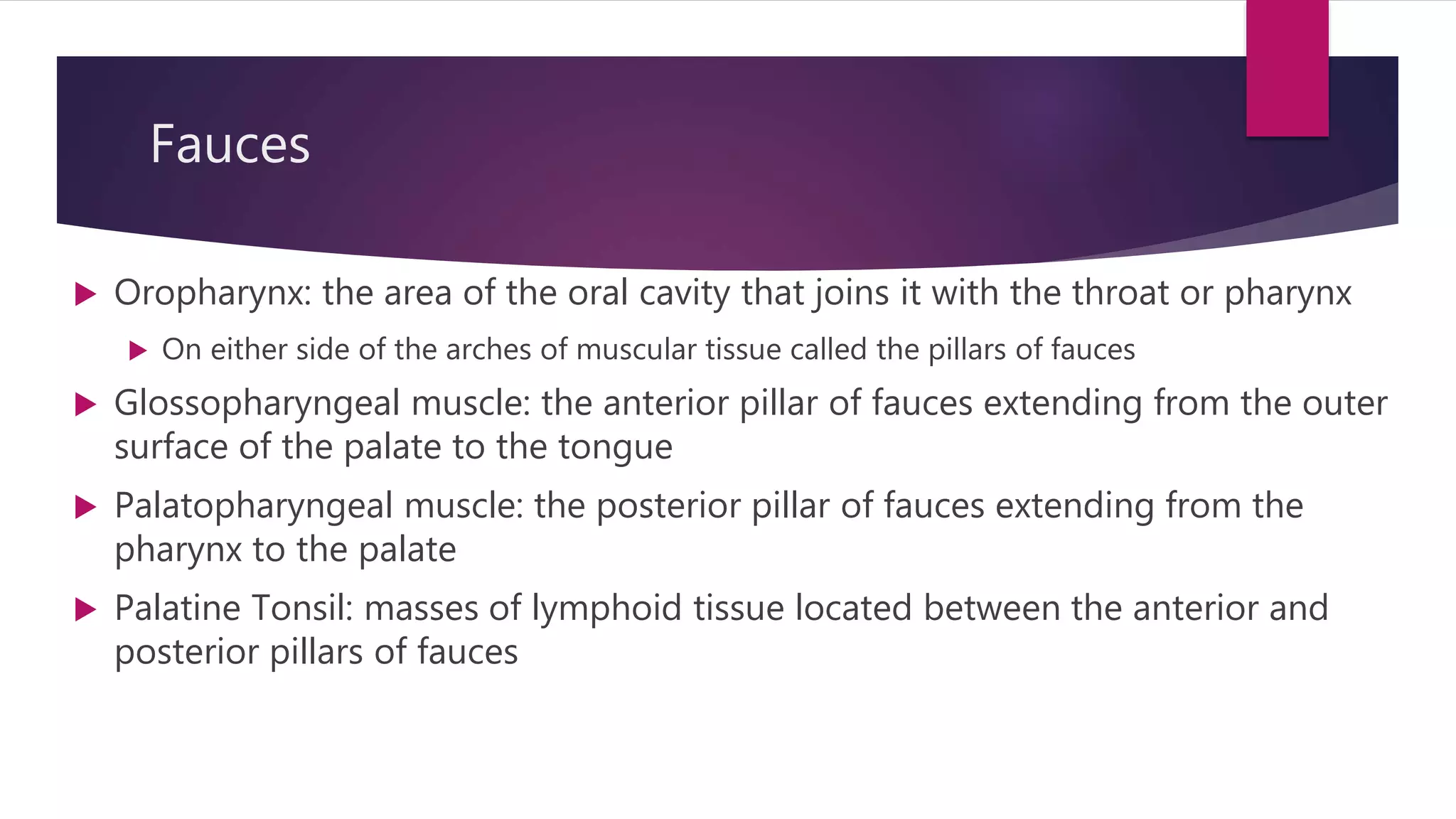 Divisions of the oral cavity | PPTX