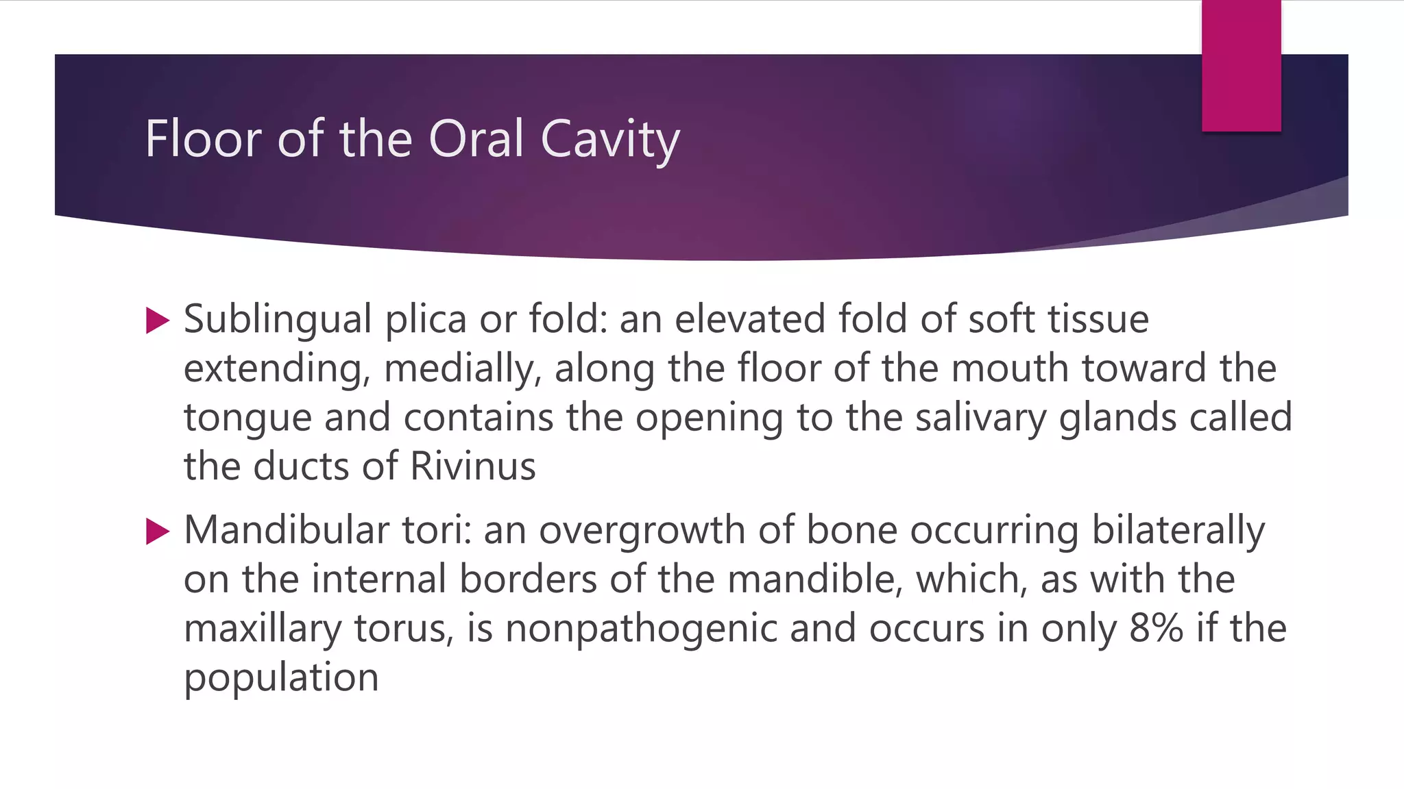 Divisions of the oral cavity | PPTX