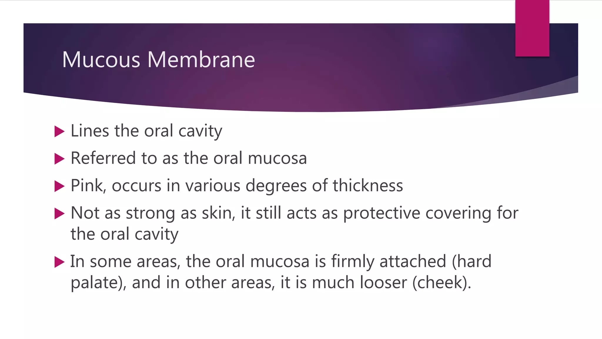 Divisions of the oral cavity | PPTX