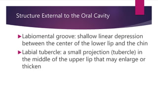 Divisions of the oral cavity | PPTX