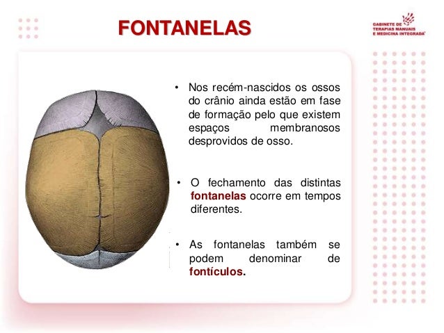 Divulgação curso craniana