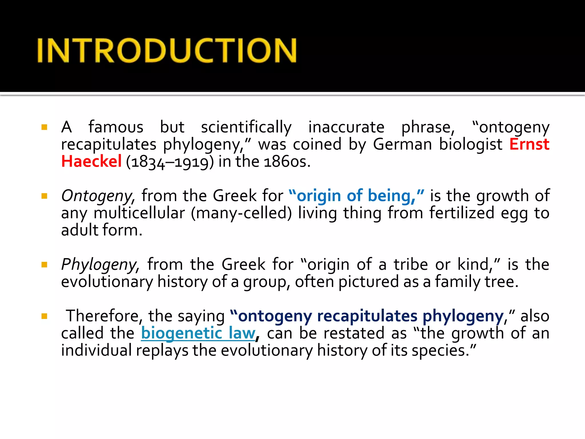 PHYLOGENEY AND ONTOGENY.pptx