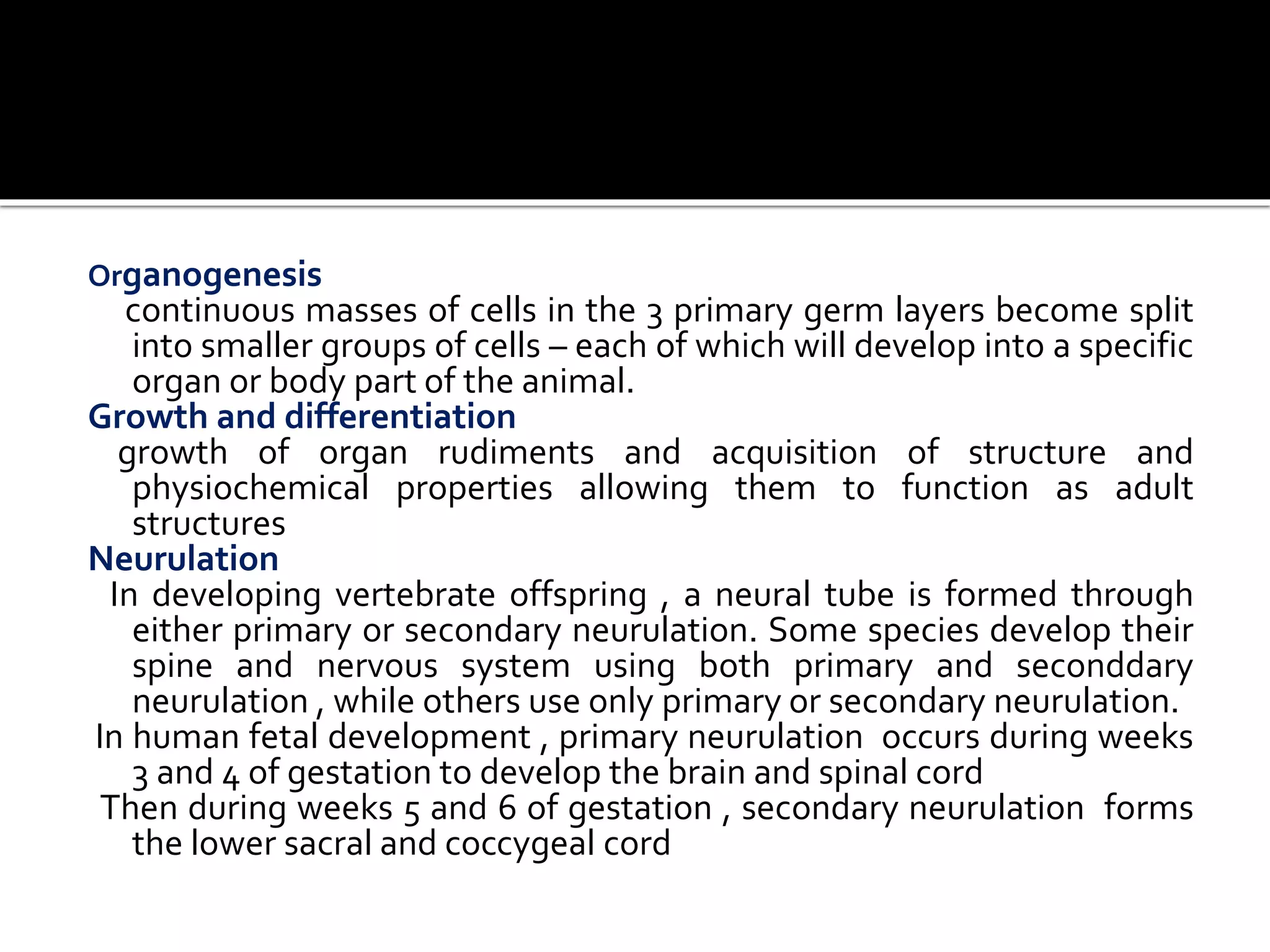 PHYLOGENEY AND ONTOGENY.pptx