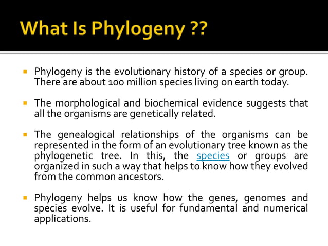 PHYLOGENEY AND ONTOGENY.pptx